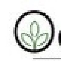 Lectures – OASIS WeCare