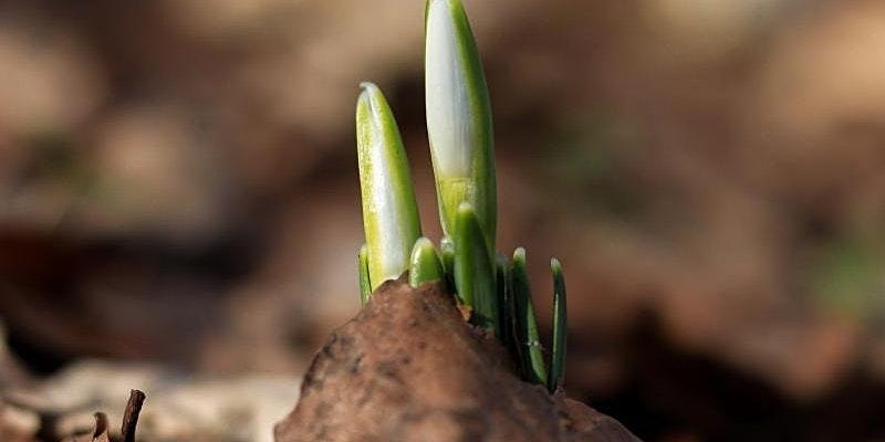 Submission – OASIS WeCare